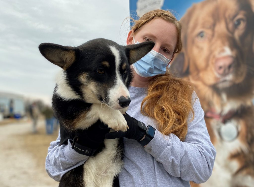 HSMO's Animal Cruelty Task Force Rescues 57 Dogs From Horrific ...