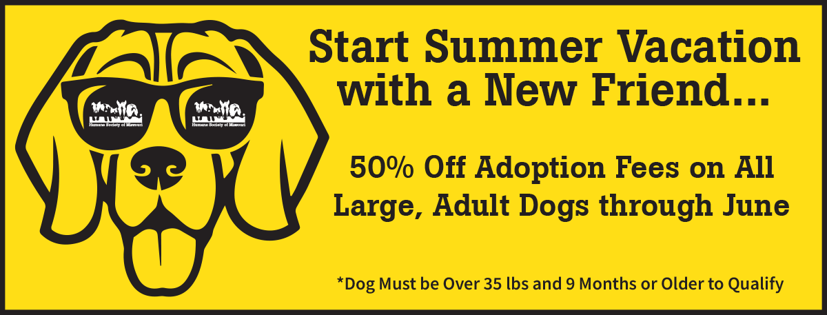 St. Louis Pet Adoption: Humane Society of Missouri